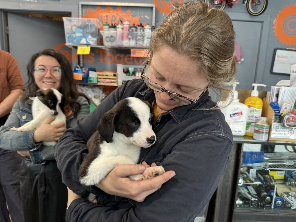 Board and Staff | Bikes Together